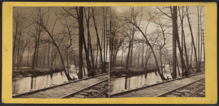 Neighborhood Walking Tour: Williamsbridge, Bronx - Habitat NYC and ...